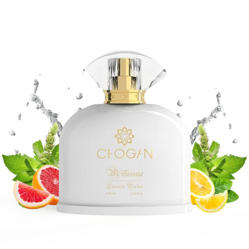 CHOGAN-PARFÜM, INSPIRIERT VON HUGO - HUGO BOSS - 063 – Chogan